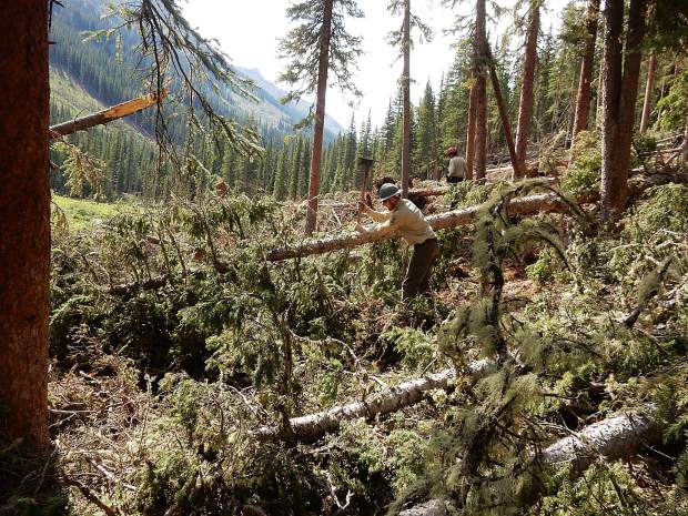 Forest Service crews continue daunting task of clearing avalanche ...